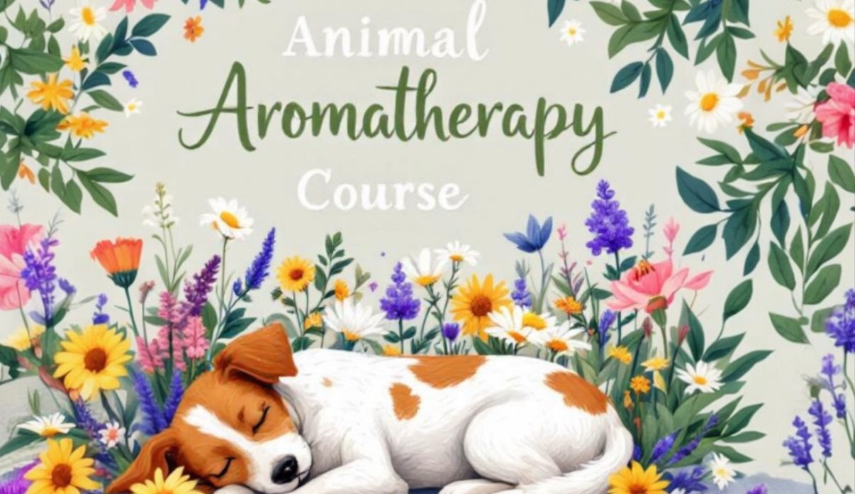 10 Week Animal Aromatherapy Course