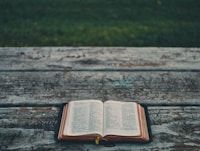 An Exegetical Study of the Book of 1 John: Background, Themes, and ...