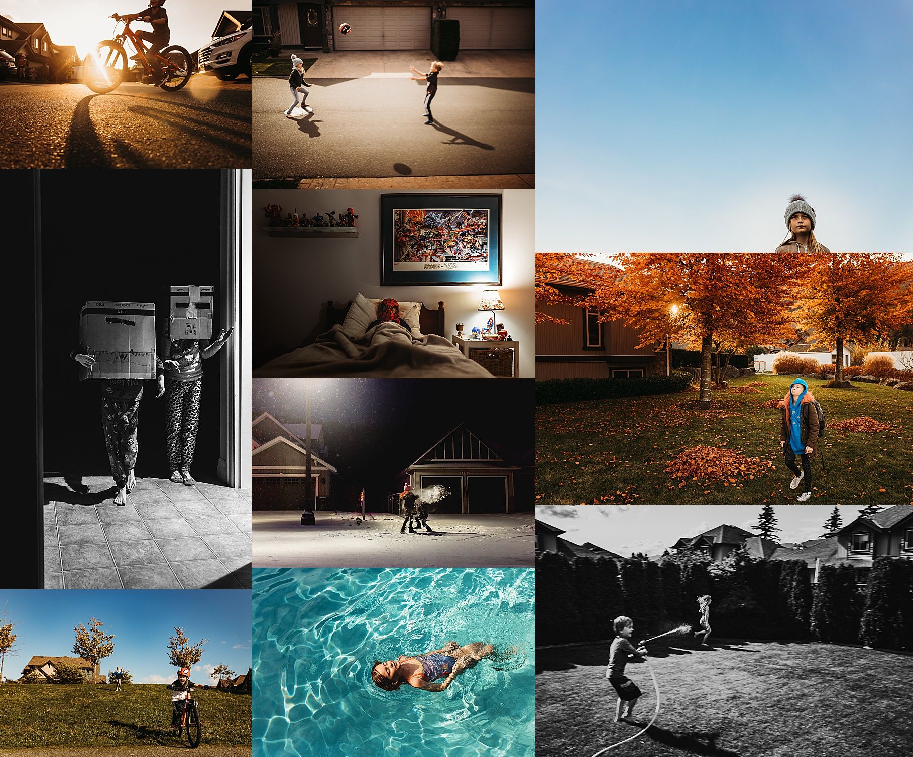 The Power of Daily Shooting: How to Stay Inspired and Grow with a 365 ...