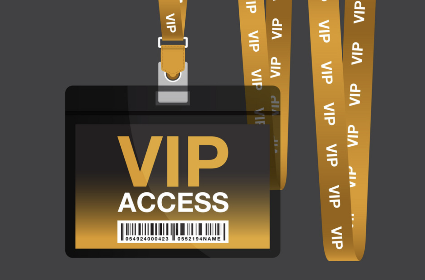 The VIP Bundle: Fast-Track Your Way to Becoming a Certified Teacher in ...