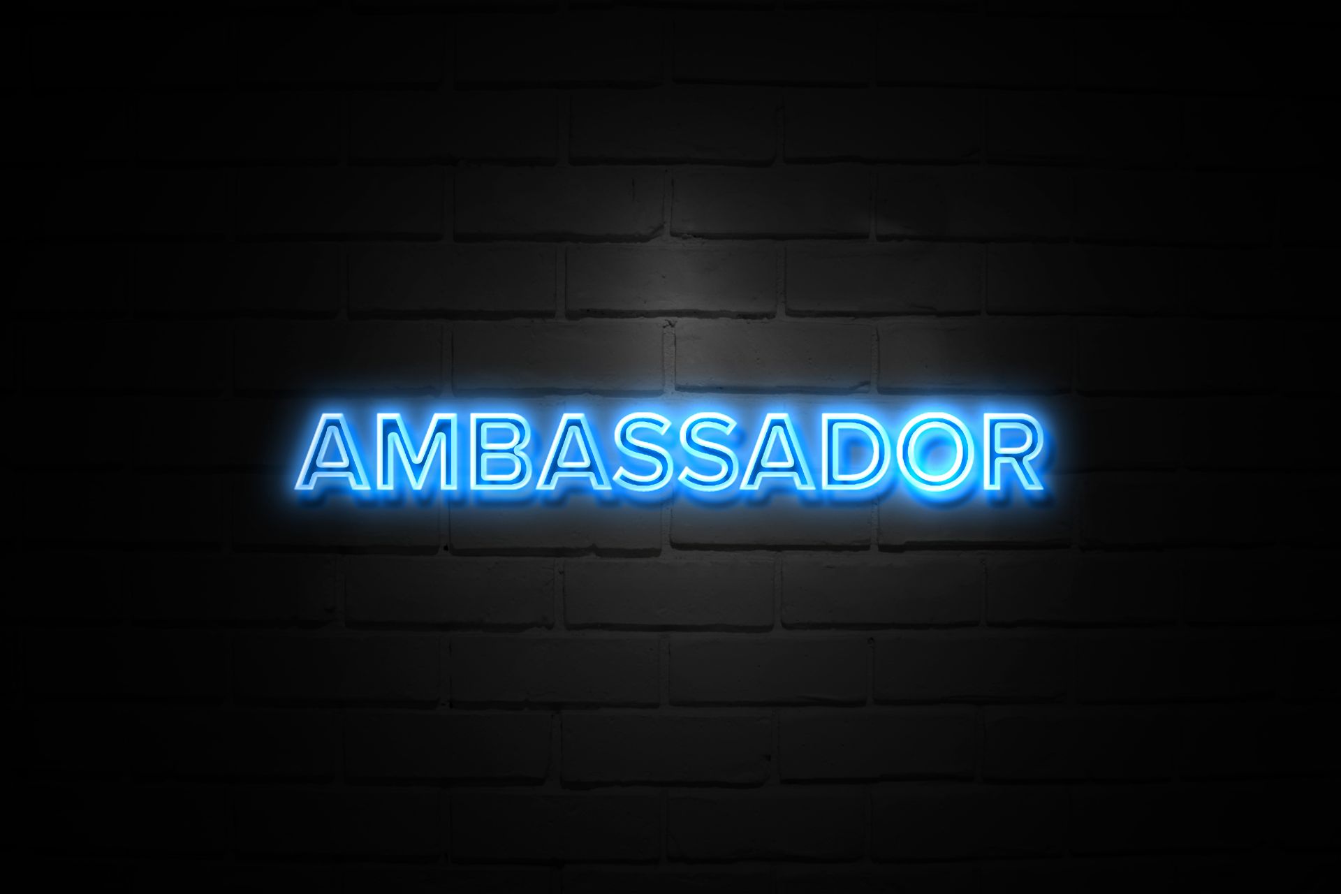TLL Ambassador Program